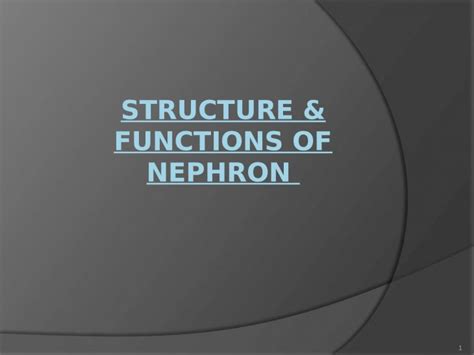 Pptx Structure And Functions Of Nephron Assignment Dokumentips