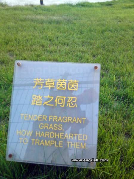 Why Its Borderline Grass Harassment