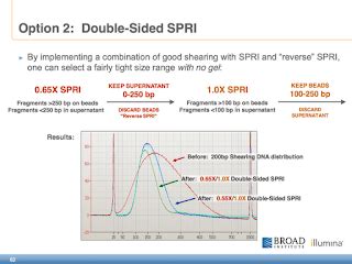 How Do Spri Beads Work Enseqlopedia