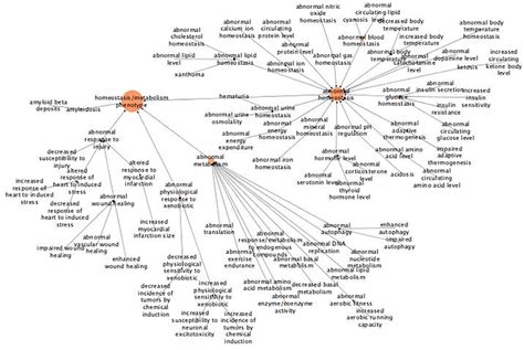 hierarchical tree for the abnormal phenotype “homeostasis metabolism