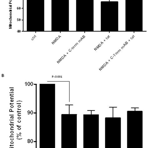 Modulation Of Nmda Excitotoxicity By A Tat Immune Complex Mixed Rat