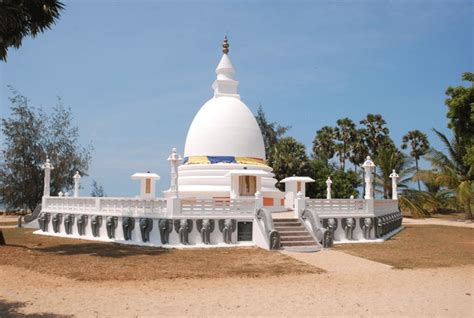 3 Resultados De Imágenes Fotos De Stock E Ilustraciones Libres De