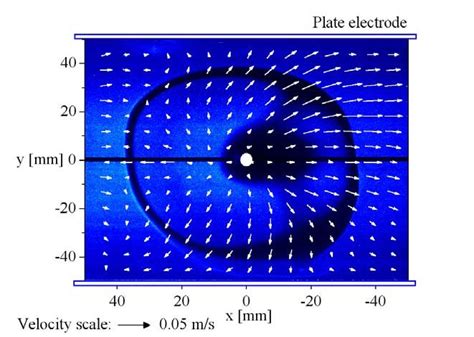 Shows The Particle Flow Pattern And Time Averaged Velocity Field Around