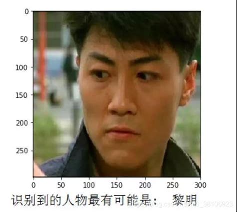 用python实现一个简单的——人脸相似度对比 python 人脸比对 csdn博客