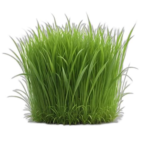Premium Psd Grass Psd On A White Background