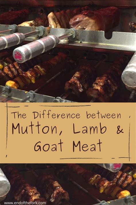 Differences Between Mutton Lamb Goat Meat