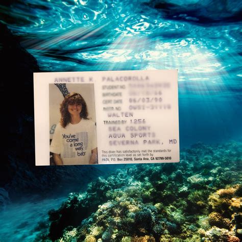 Kim Barton On Linkedin Kim Is A Scuba Diver She Started Her Scuba