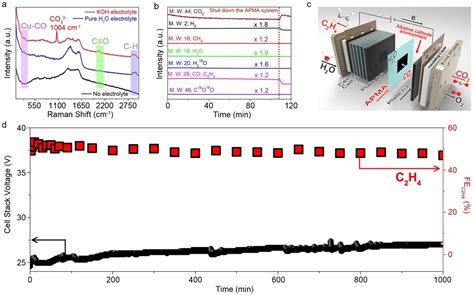 Hong Kong Laureate Forum The Newly Developed High Efficiency Carbon Dioxide Electroreduction