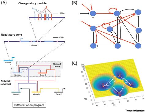 Unlocking Natures Code Researchers Draw Parallels Between Ai Models