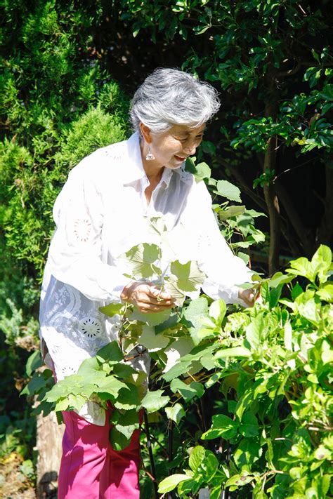 Chimomos Story Chimomo