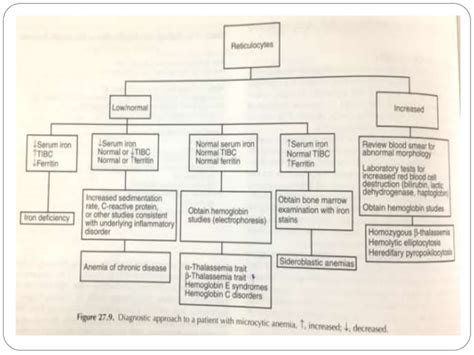 Microcytic Hypochromic Anemia Pptx