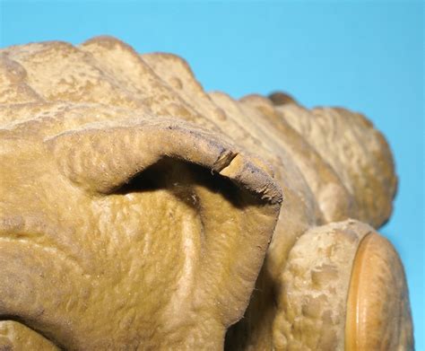 Boglins Large Boglin Hand Puppet Dwork Boxed Euro Box 1987 Mattel