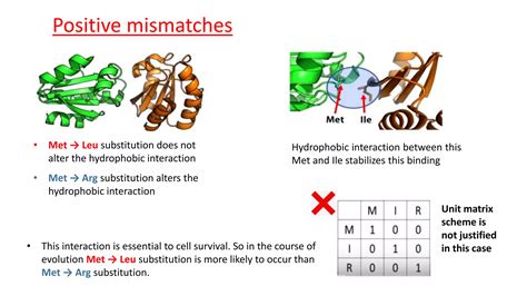 Pam Point Accepted Mutation Pptx
