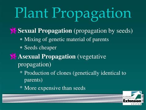 Ppt Plant Propagation Powerpoint Presentation Free Download Id4346626 Ppt Plant Propagation Powerpoint Presentation Free Download Id4346626