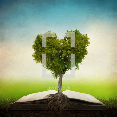Heart Shaped Tree Growing Out Of An Open Bible — Photo — Lightstock