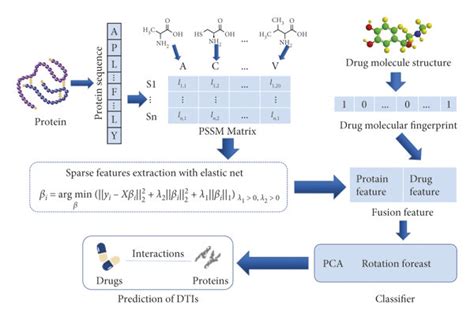 flow chart for detecting dtis by the novel model download scientific