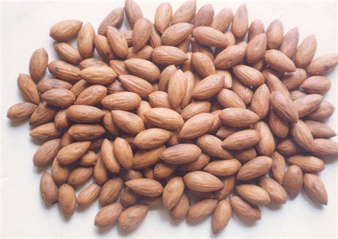 香榧子图册360百科