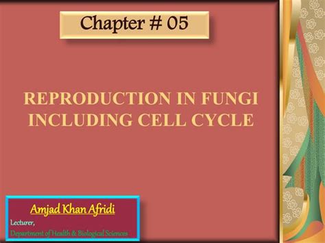 Sexual Reproduction In Fungi Pptx