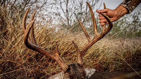 King Ranch Museum It Was A Great Day Today As We Celebrated The Official Designation Of Sixth