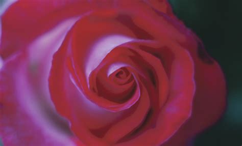 Naming Esters Hodder Education Magazines