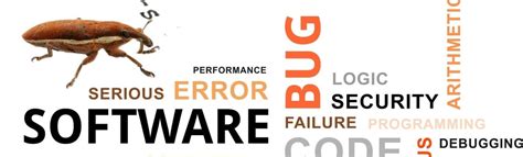 7 Principios De Las Pruebas De Software