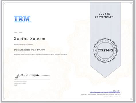 sabina saleem on linkedin dataanalysis pythonprogramming