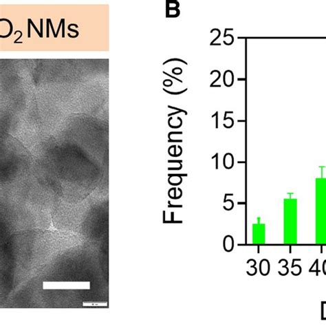 The Eight Grades Of The Griffith Modified Pfirrmann Grading Scale Download Scientific Diagram