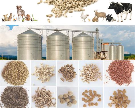 Receiving Technology Of Raw Materials In Pellet Feed Processing Technology By Hebe Li Medium