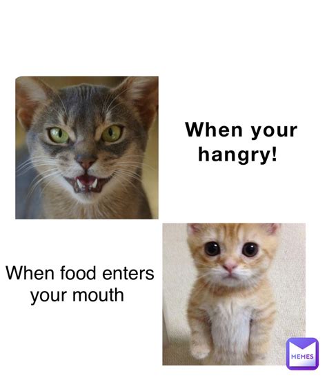 Hangry Meme