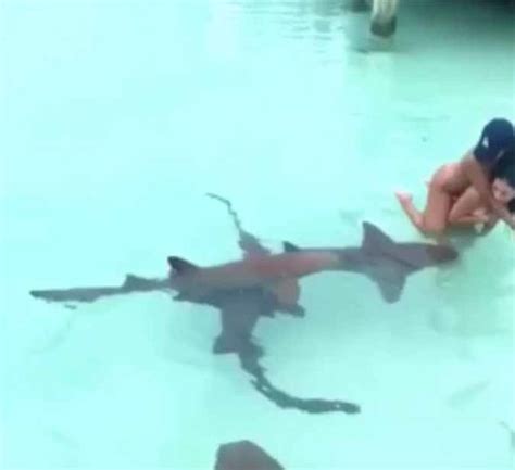 Sharks Swim With Brave Bikini Girls In The Bahamas In Viral Video