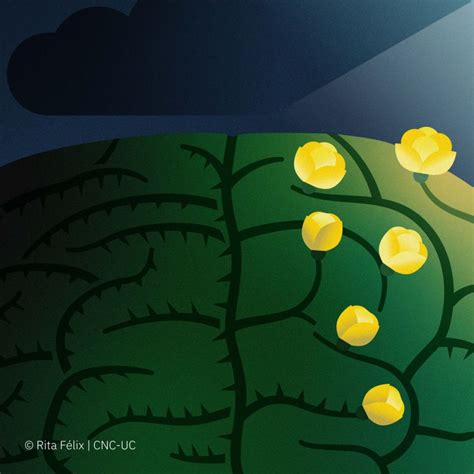 Center For Neuroscience And Cell Biology On Linkedin Researchers From Cnc Uc Have Made An