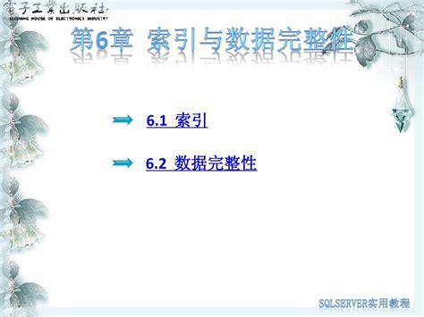 第6章 索引与数据完整性word文档在线阅读与下载无忧文档 第6章 索引与数据完整性word文档在线阅读与下载无忧文档