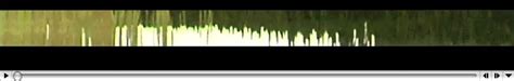 Wavefields Intense Animated Data Graphics Edward Tufte