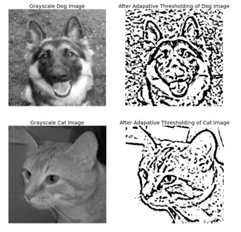 Do Custom Opencv Solutions Image Processing Object Detection Ocr And More By Wahab Abbasi