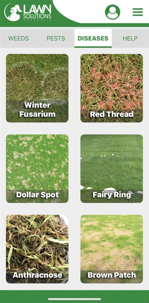 Is There An App To Identify Grass Types At Oscar Godson Blog