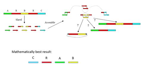 10genome Assembly Bch709 Introduction To Bioinformatics