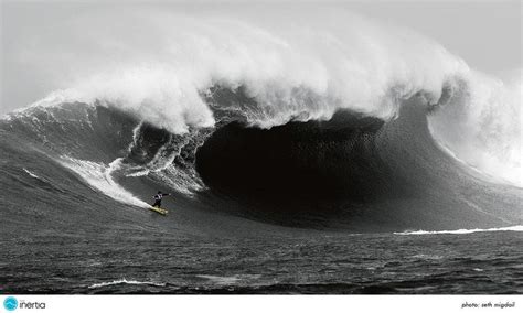 Happy Halloween Ghost Trees Is One Of The Planets Ten Spookiest Waves