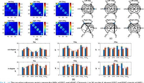 Figure 5 From Analysis Of Multiscale Corticomuscular Coupling Networks