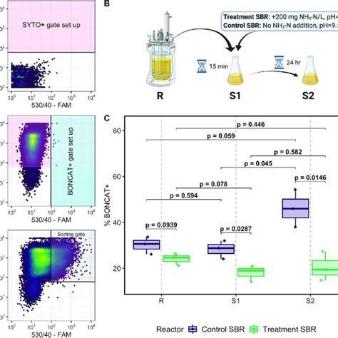 Batch Specific Nitrification Rate Snr Test Showing Removal Of Ammonia