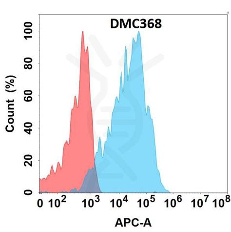 Buy Anti Gpr75 Antibodydmc368 Igg1 Chimeric Mab High Quality Gpr75
