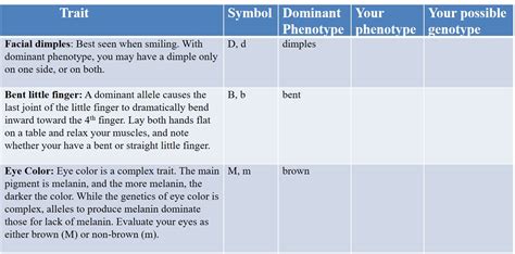 Genotype And Phenotype Chart