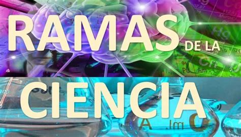 Cuáles Son Las 12 Ciencias Sociales Hermanos De Armas