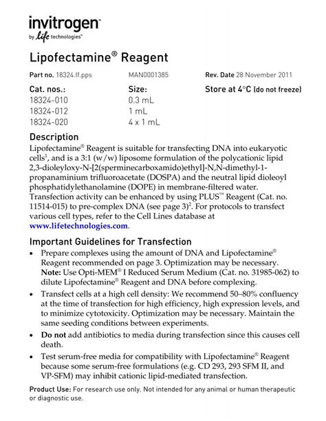 Lipofectamine Reagent Invitrogen