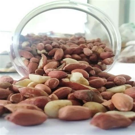 Kapchi Groundnuts Seed At ₹ 70 Kg Groundnut Seeds In Beawar Id 27131115788