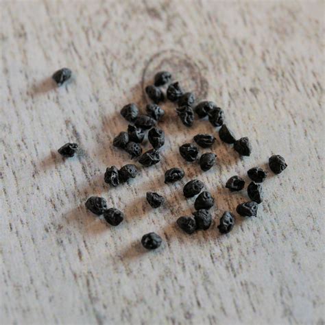 Unwins Organic Leek Carentan 2 Seeds Herbs Unwins Uk