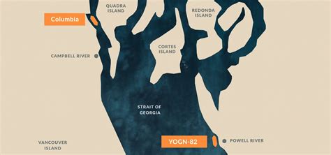 Finding Balance Artificial Reefs Water Worlds