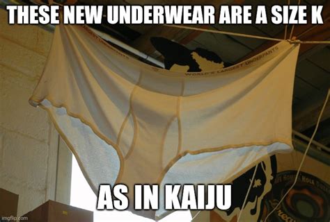 Underwear Model Memes Robert Irwin Breaks The Internet With Racy