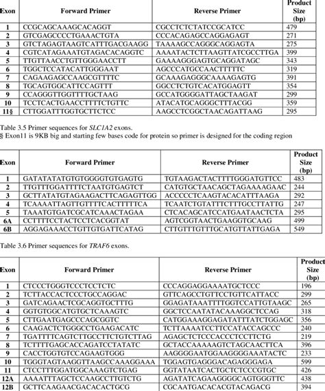 7 primer sequences for ramp exons download table