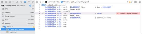 abort with payload with xcode on macos most likely a dylib issue