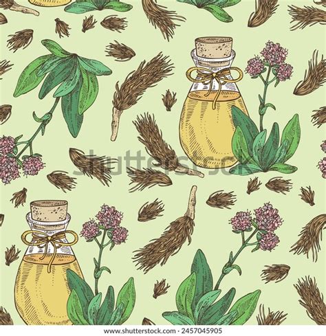 Codonopsis Lanceolata Root Over 176 Royalty Free Licensable Stock Illustrations And Drawings